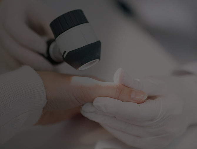 Academia Digital Einstein